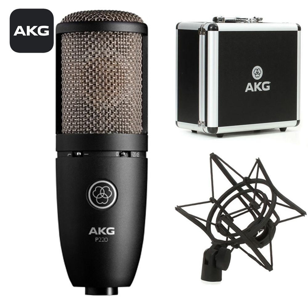 NEW AKG P220 Large-Diaphragm Condenser Microphone w/ Hard Case and ...