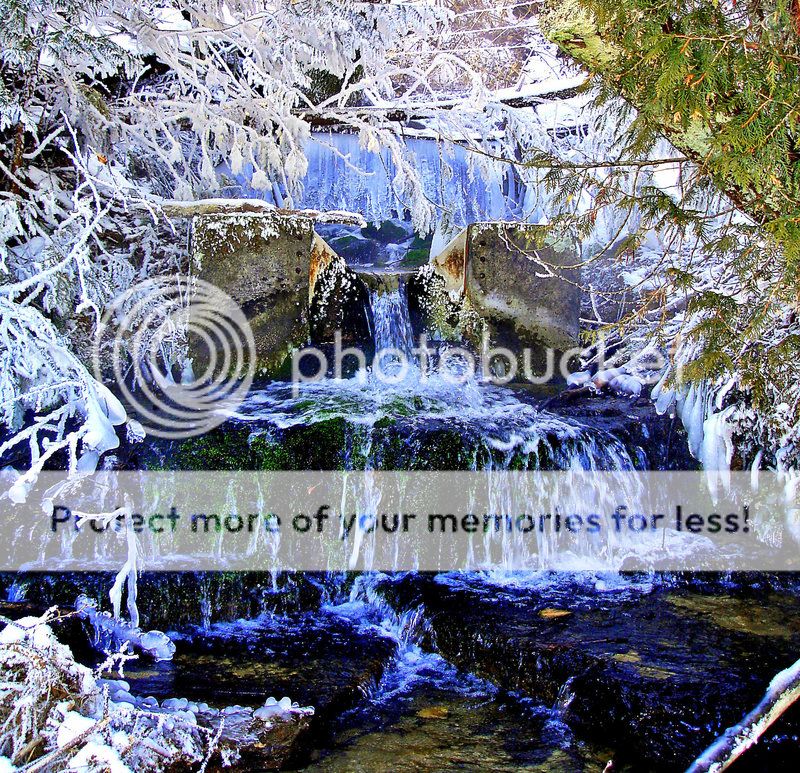 Top Five Photos - General Discussion Forum | In-Depth Outdoors